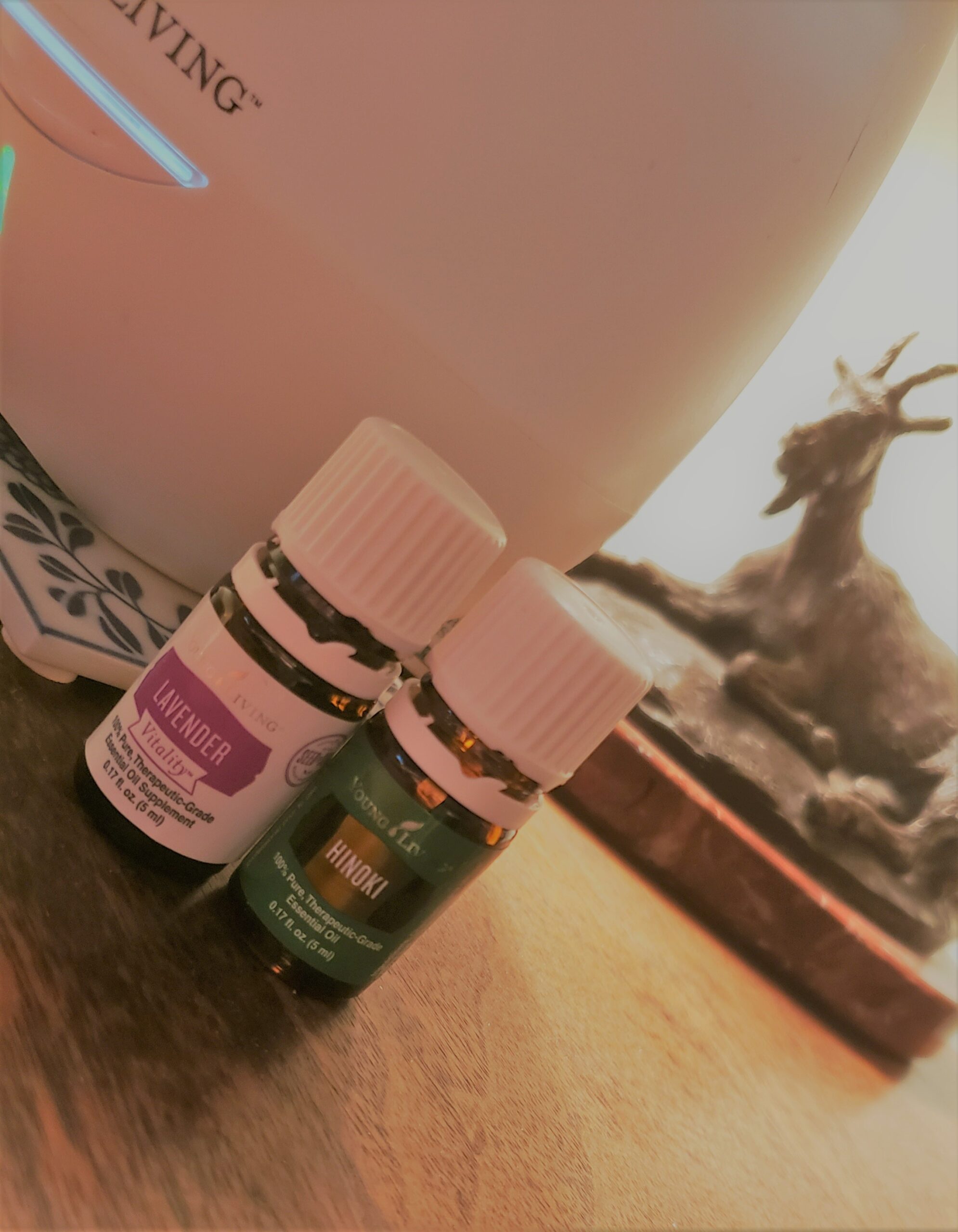 Essential Oil Hack for Toxic Fumes - Dr. DeeAnna Merz Nagel