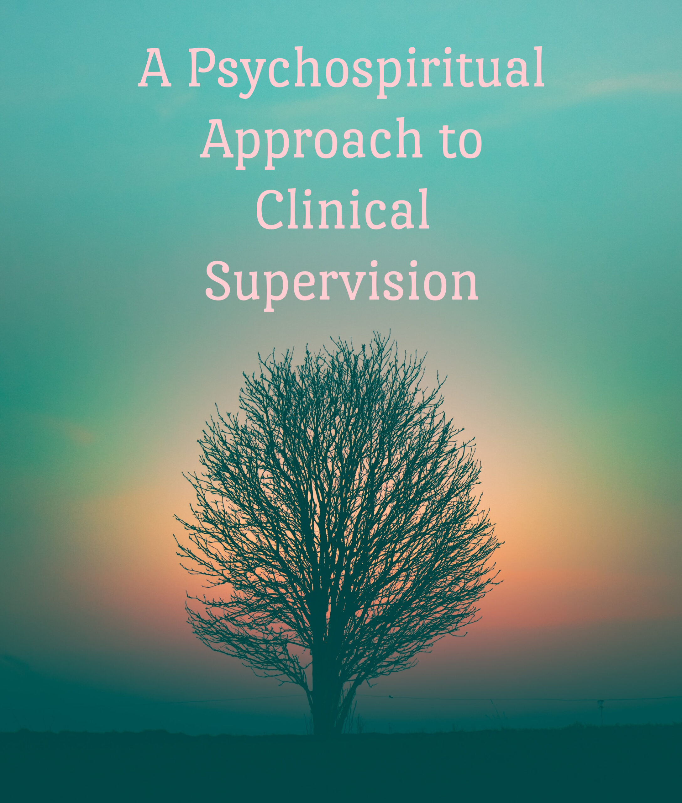 A Psychospiritual Approach to Clinical Supervision